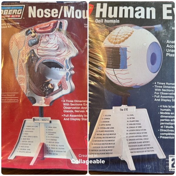 Vintage | Toys | 2x New Lindberg Science Kits Human Nose Mouth Model ...